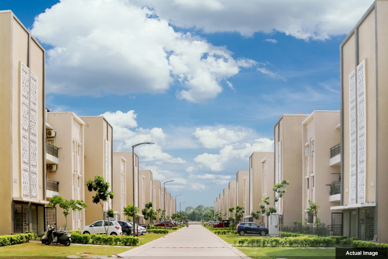 Project :: Puri Construction